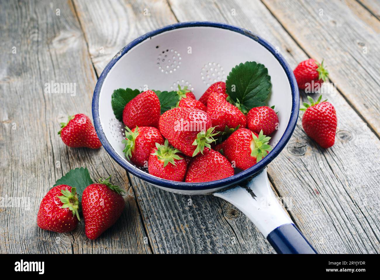 Ripe red strawberries from organic cultivation offered as a close-up in ...