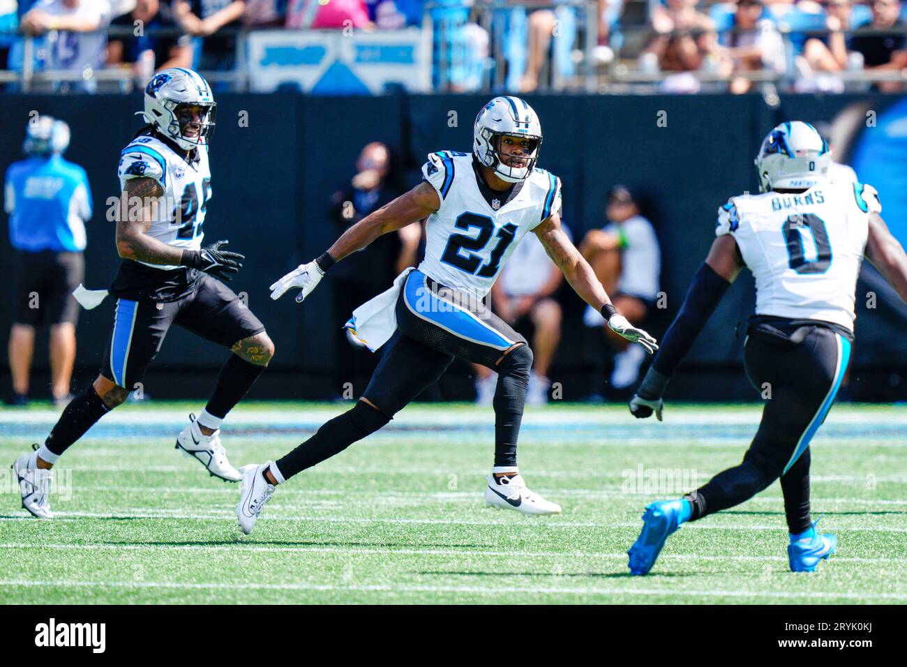 Carolina Panthers safety Jeremy Chinn celebrates after sacking ...
