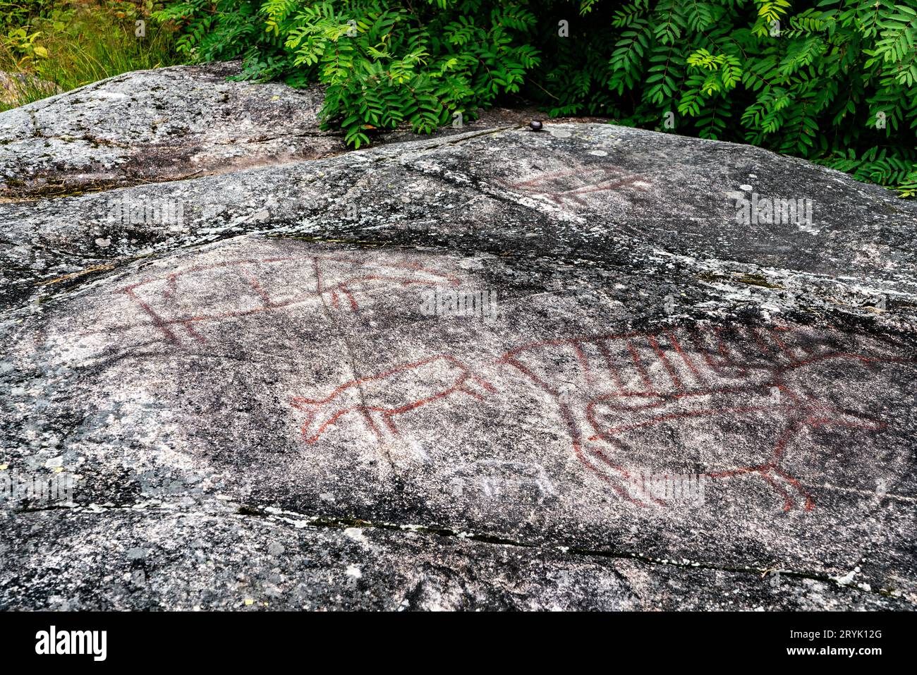 Stone Age rock carvings on the river Etna, Norway Stock Photo - Alamy
