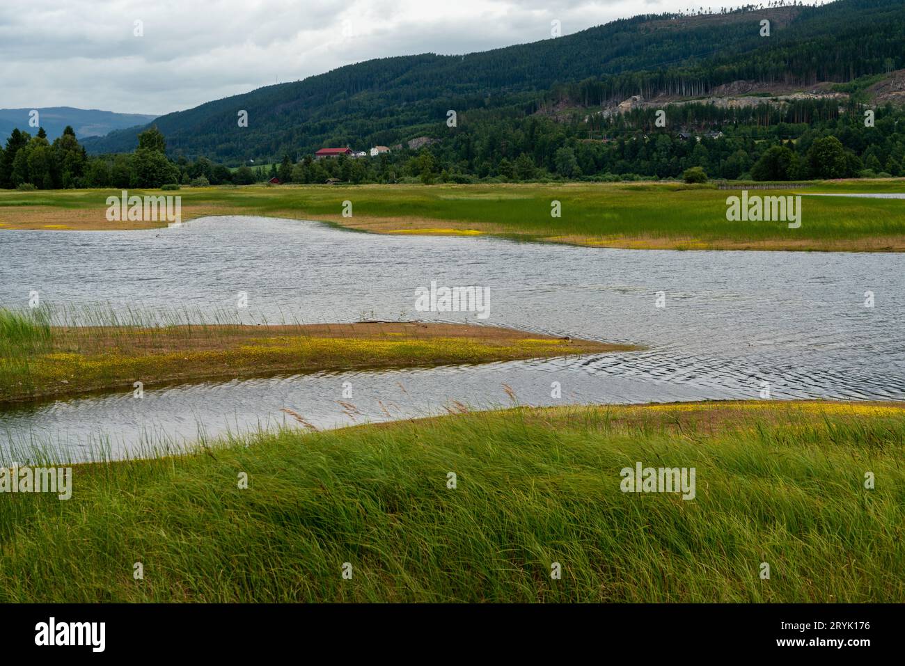 Dokka Delta Nature Reserve, Norway Stock Photo - Alamy