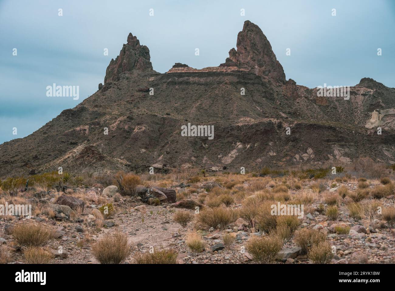 Desert Wilderness Below Mule Ears Formations in Big bend Stock Photo ...