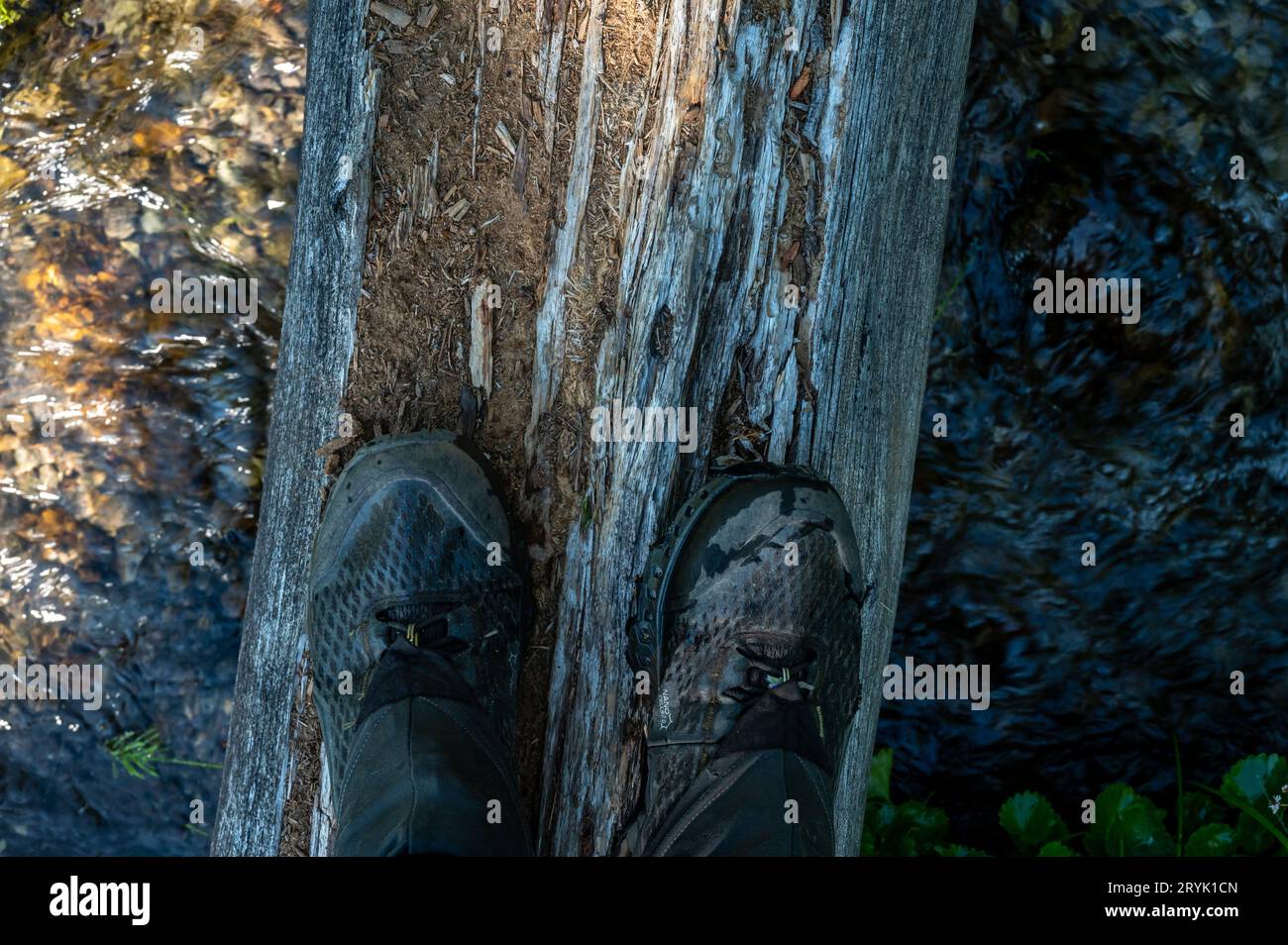 Flowing over log hi-res stock photography and images - Alamy