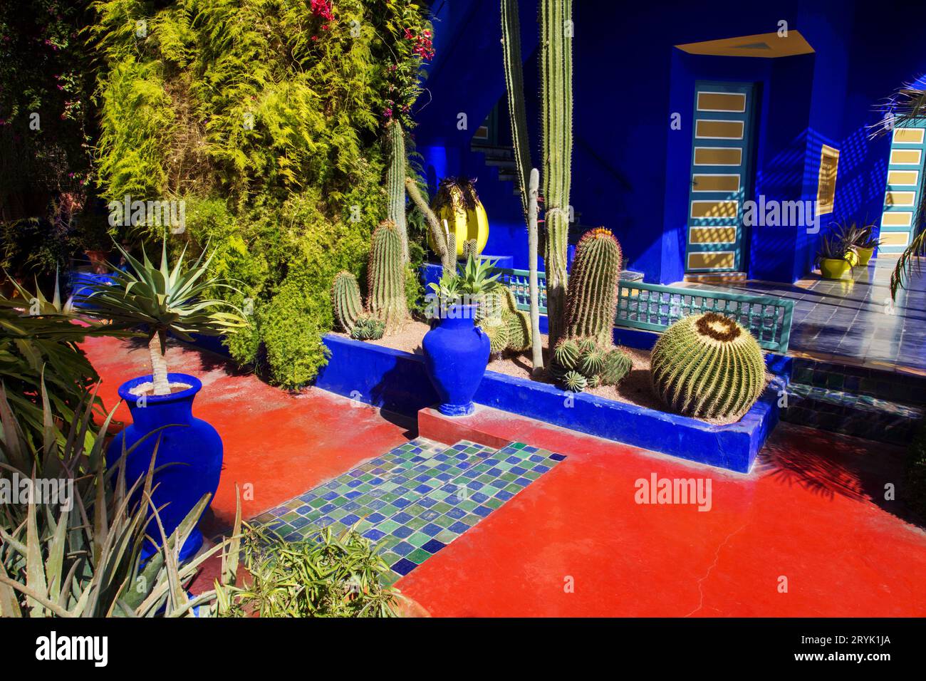 Terracota pathes and Potted plants and part of blue building and part ... Terracota pathes and Potted plants and part of blue building and part ...