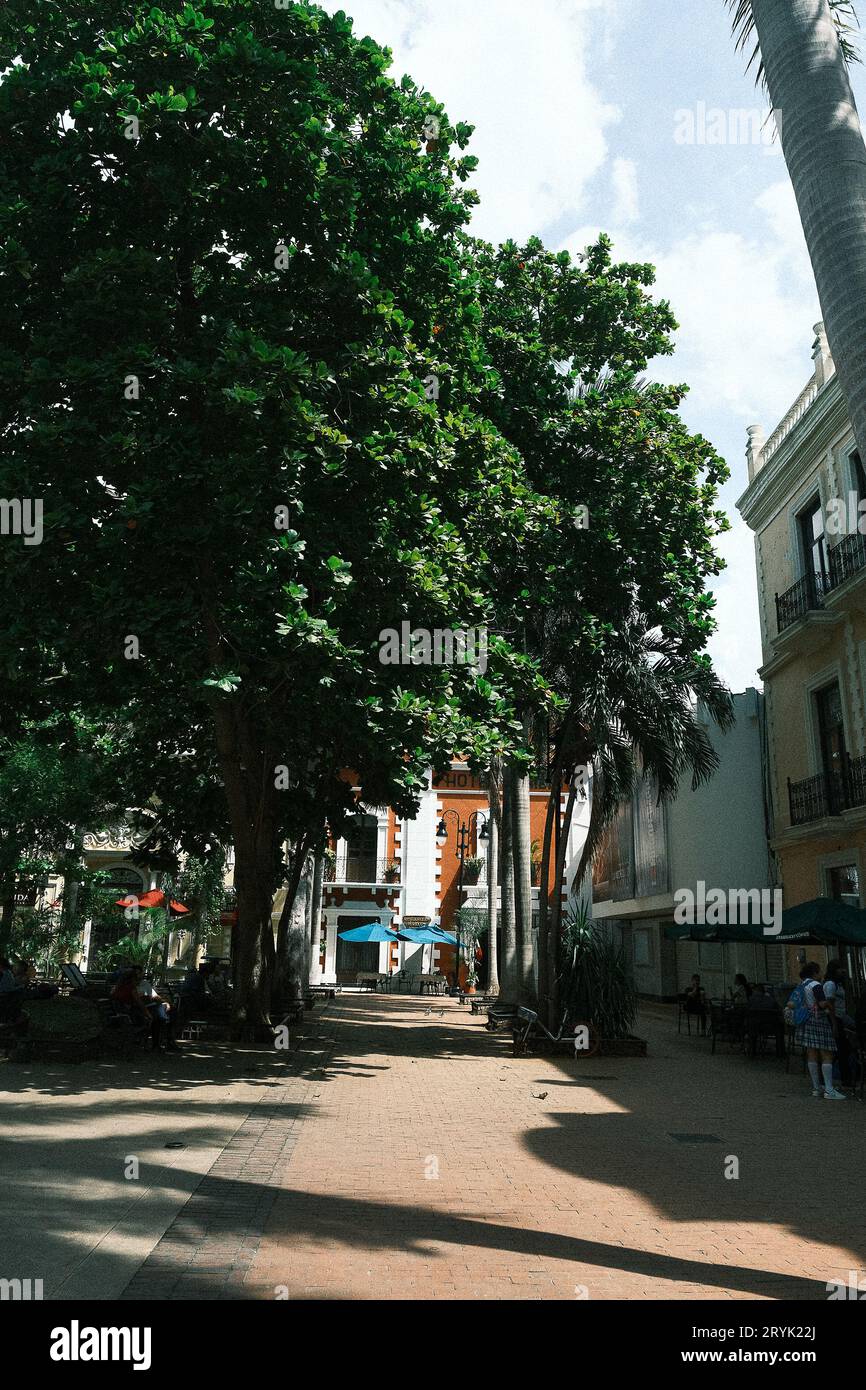Historical Centro Merida Yucatan Mexico Stock Photo - Alamy