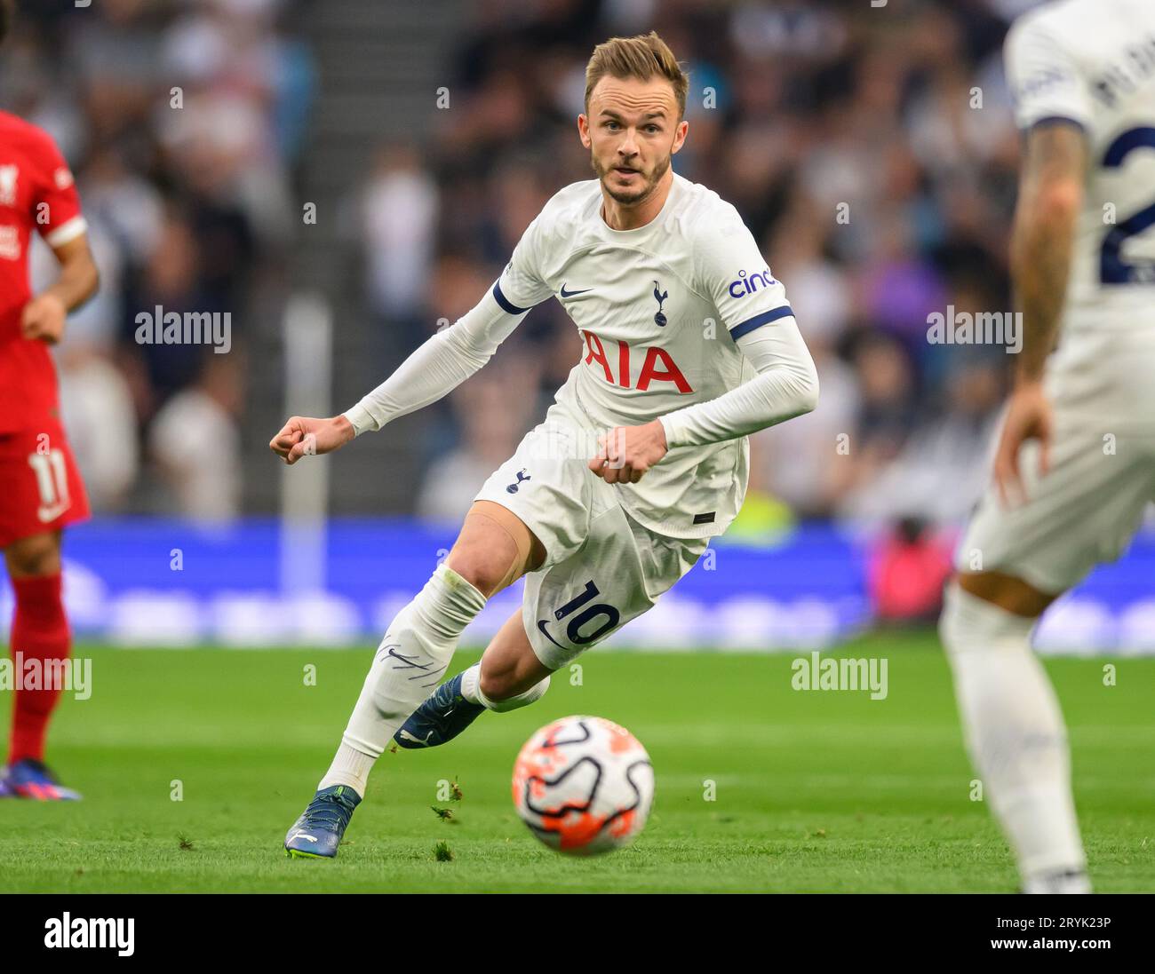 James maddison tottenham hotspur hi-res stock photography and images ...