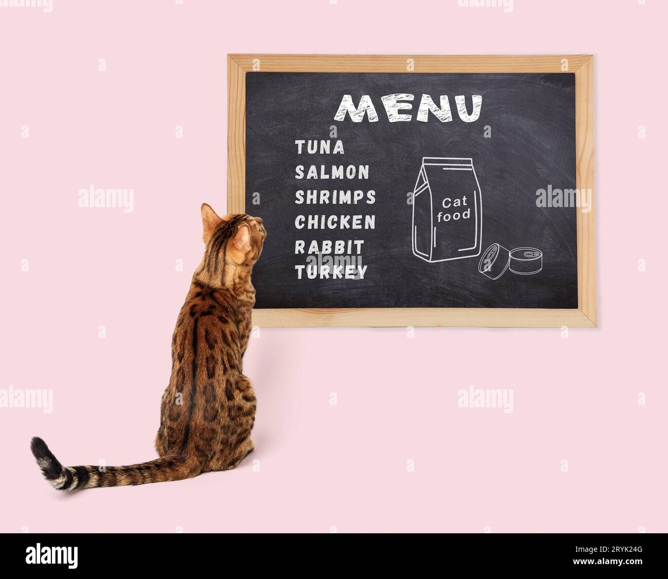 The cat looks at the black board with the cats menu, rear view. Pet ...