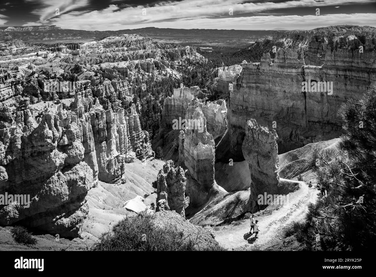 The steep 2 Bridges hiking trail in Bryce Canyon National Park, Utah ...