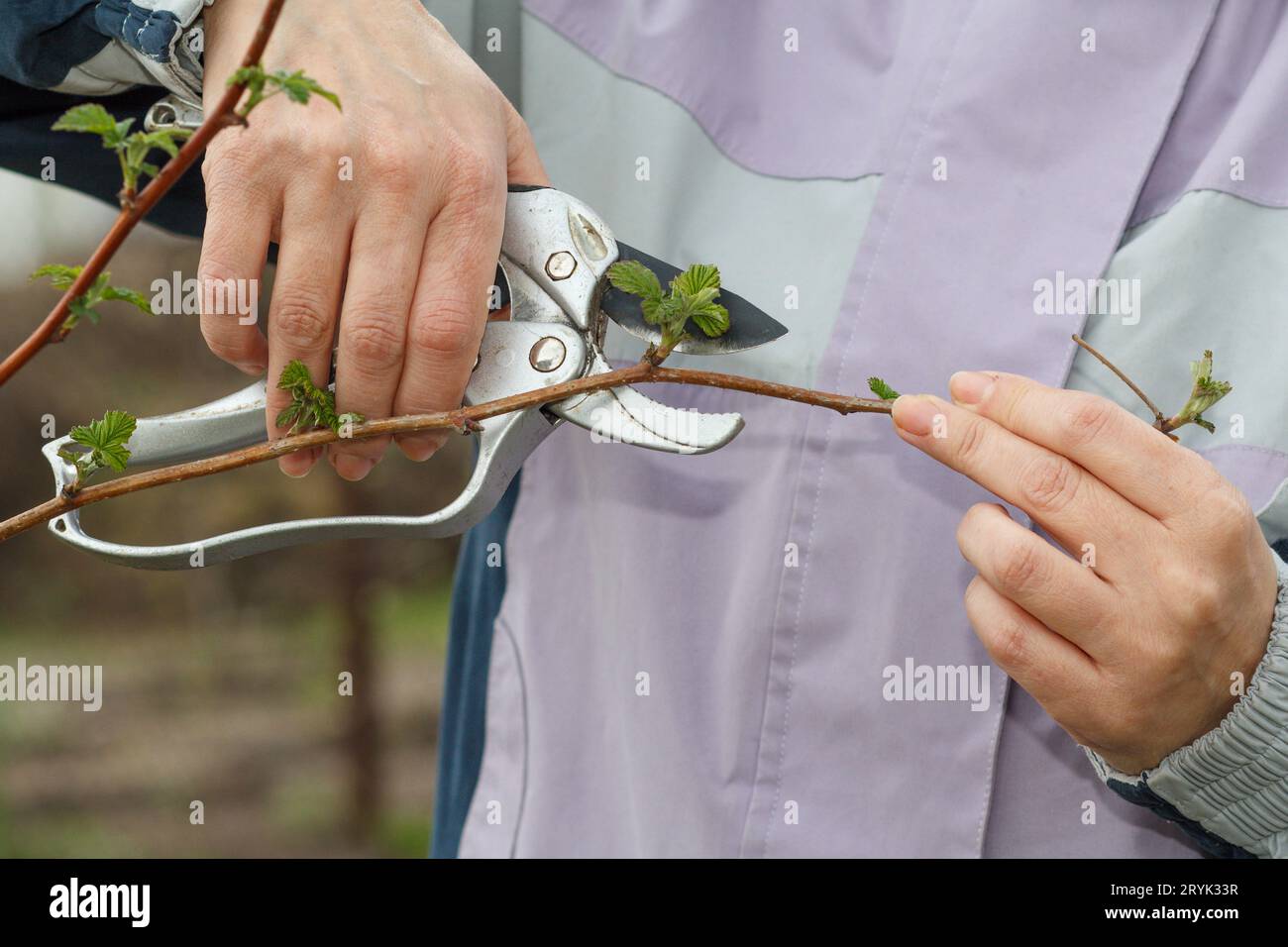 Female bush hi-res stock photography and images - Alamy