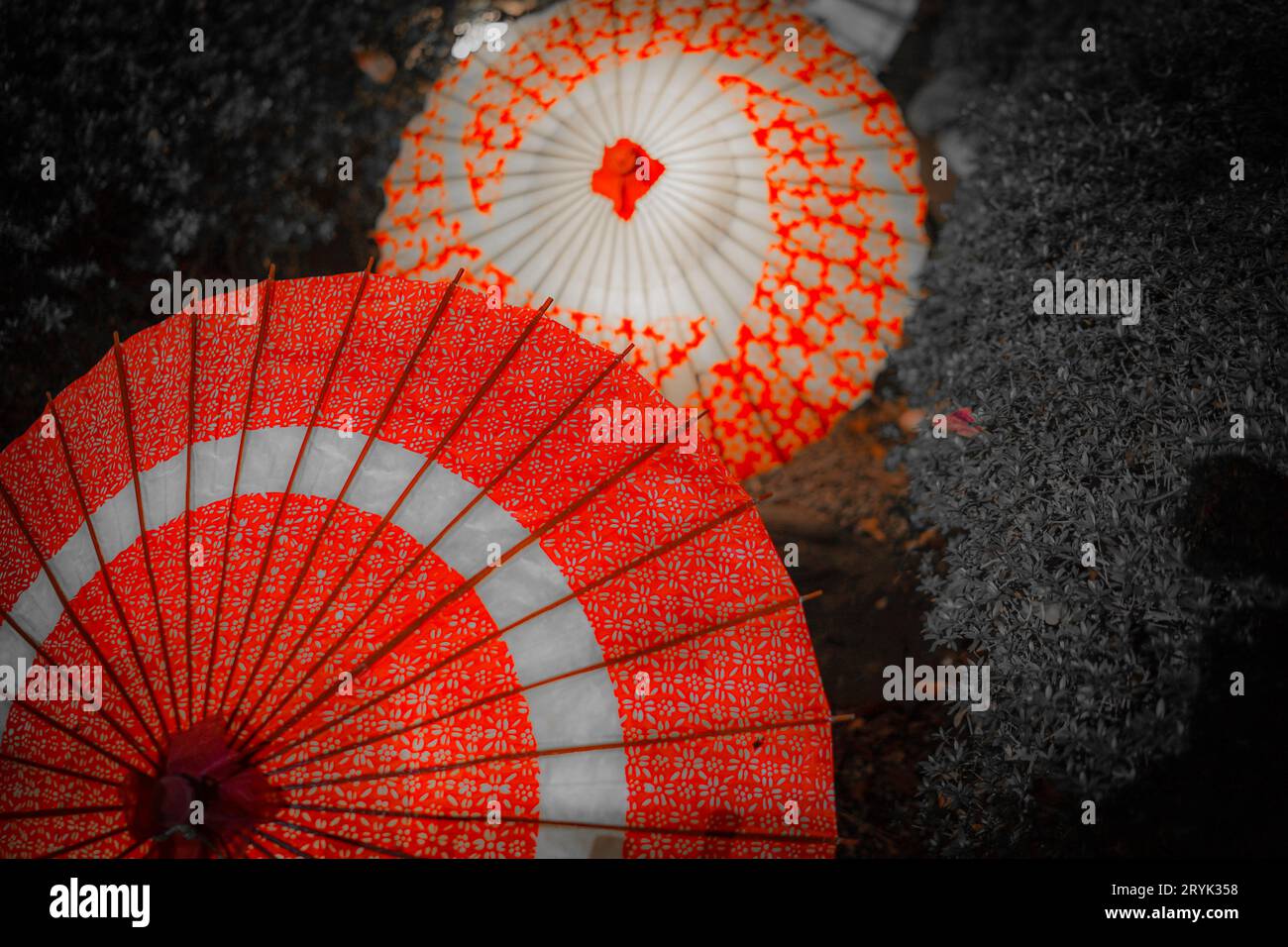 Bangasa hi-res stock photography and images - Alamy
