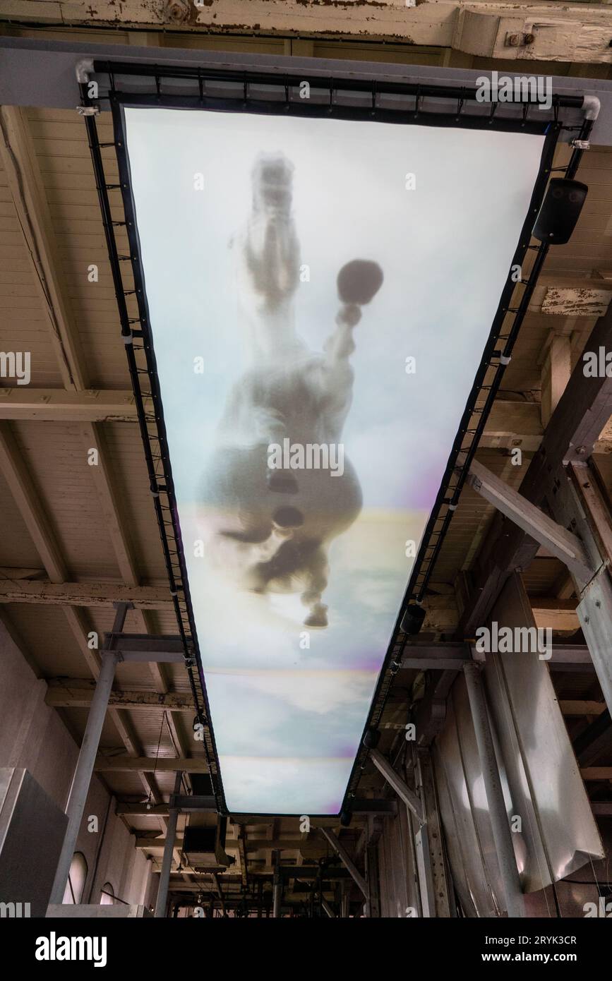 Hesten hi-res stock photography and images - Alamy