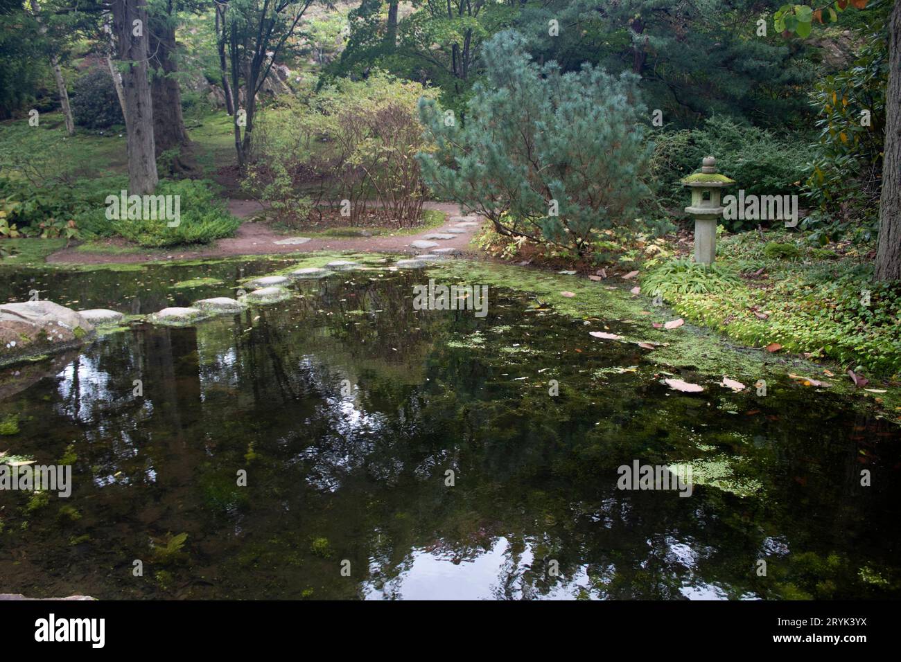 Japanese dell Gothenburg Botanical Garden Gothenburg, Sweden Stock ...