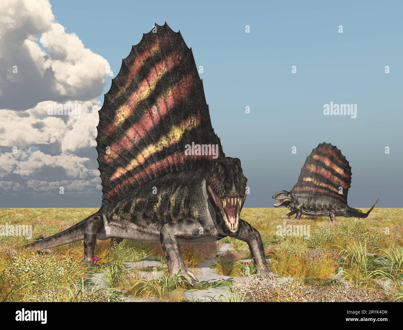 Pelycosaur Dimetrodon in a landscape Stock Photo - Alamy