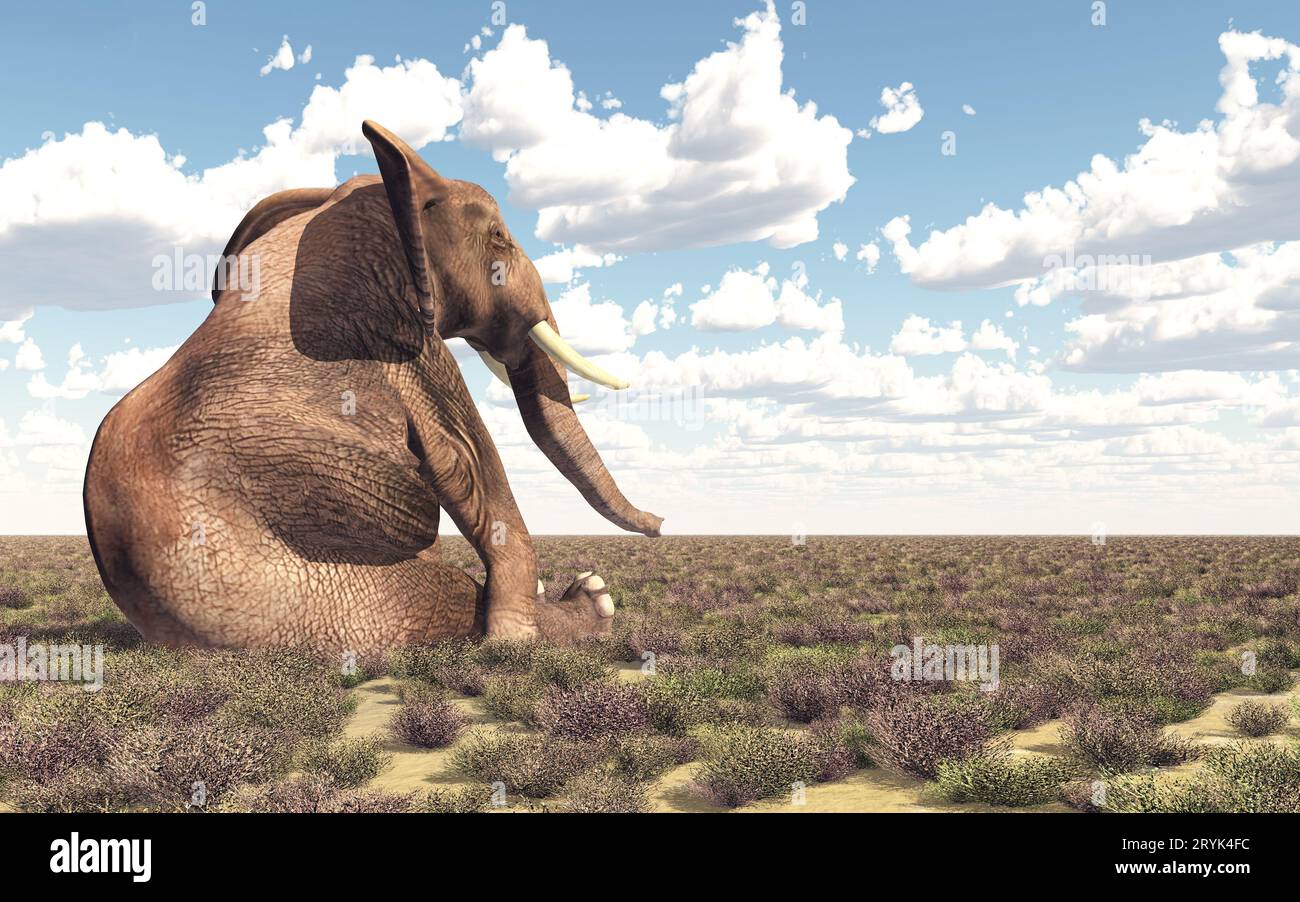 Sitting elephant in the savannah Stock Photo - Alamy
