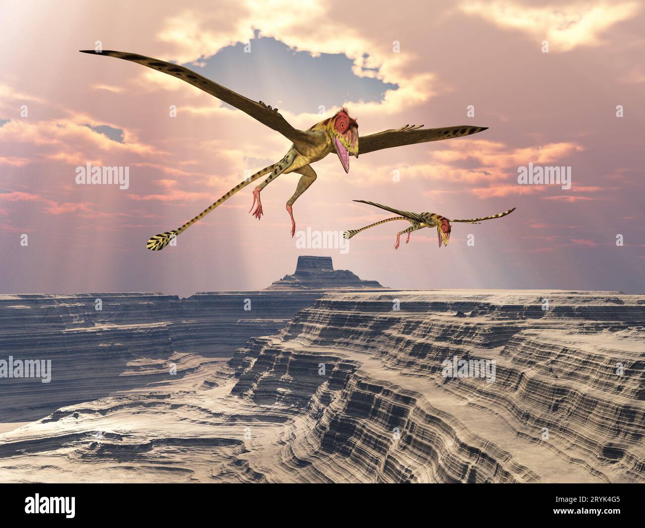 Pterosaur Peteinosaurus flying over a canyon landscape Stock Photo - Alamy