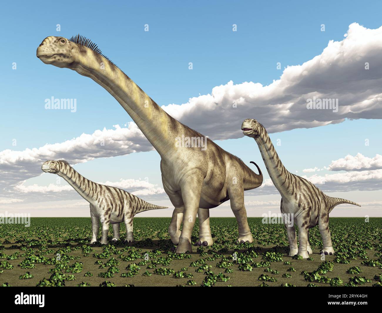 Camarasaurus hi-res stock photography and images - Alamy