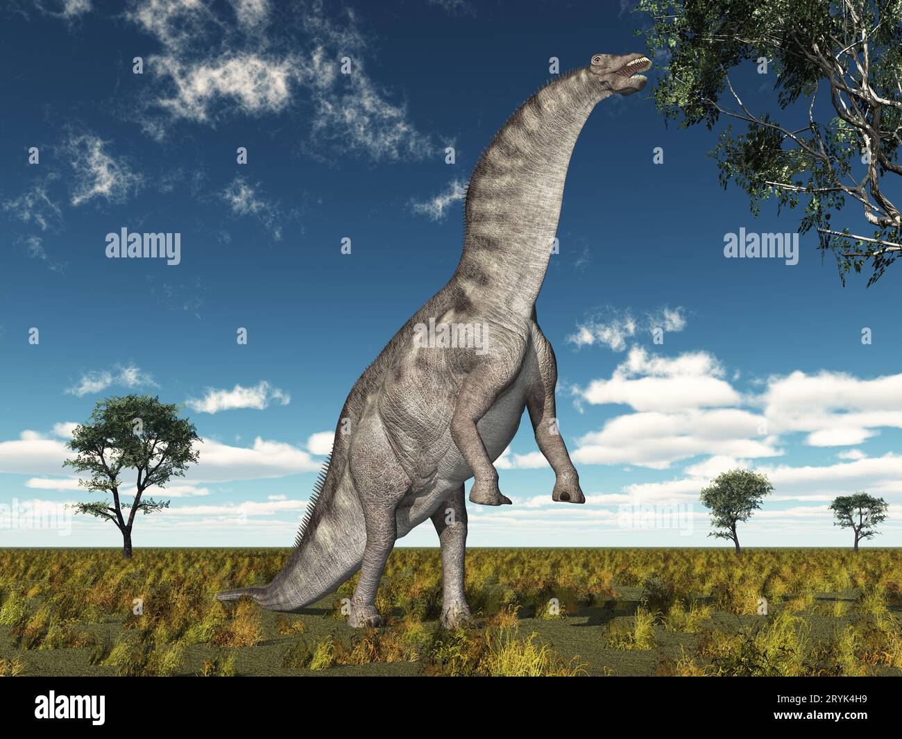 Dinosaur Amargasaurus eats the leaves of a tree Stock Photo - Alamy