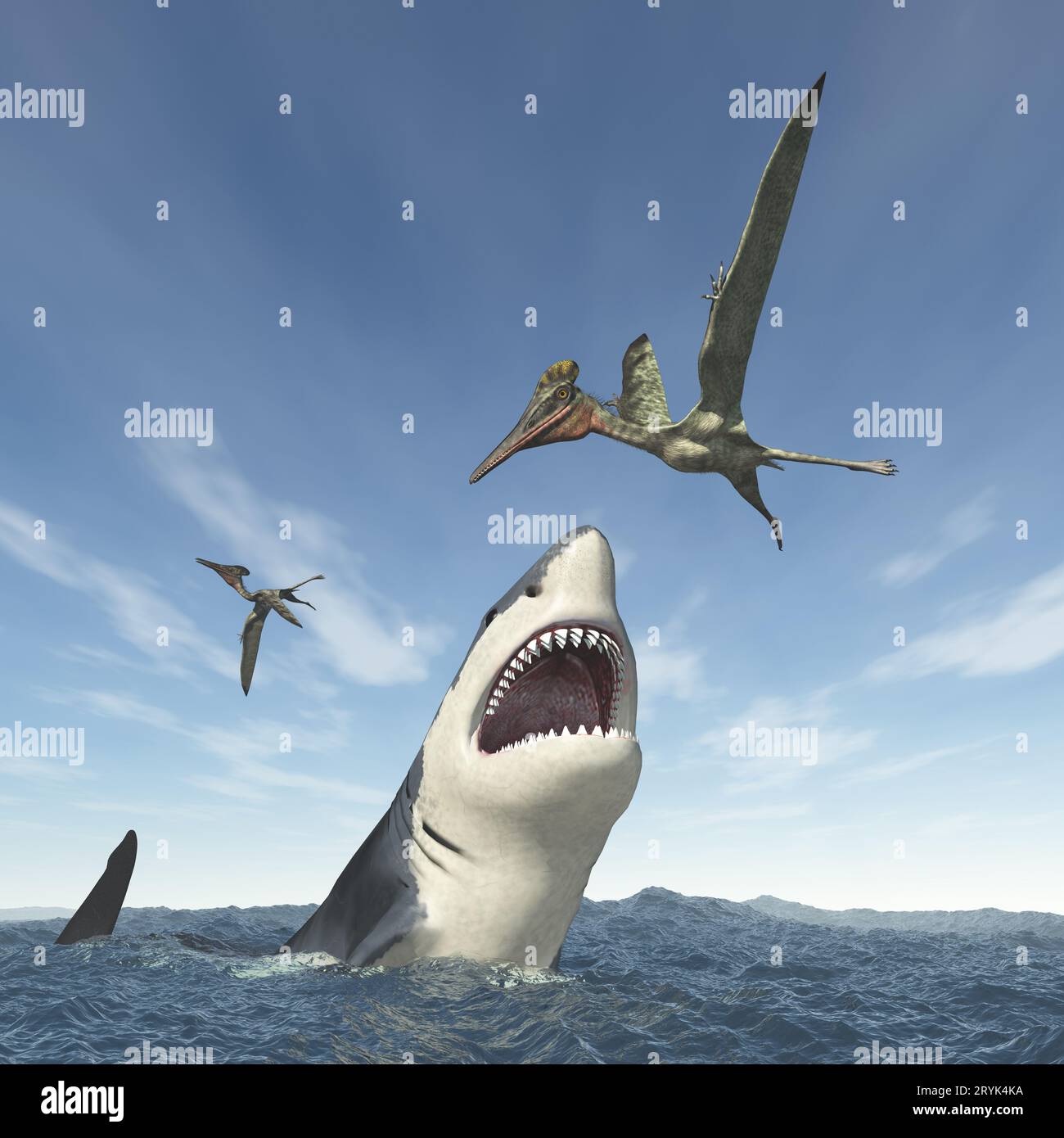 Great white shark attacks the pterosaur Pterodactylus Stock Photo - Alamy