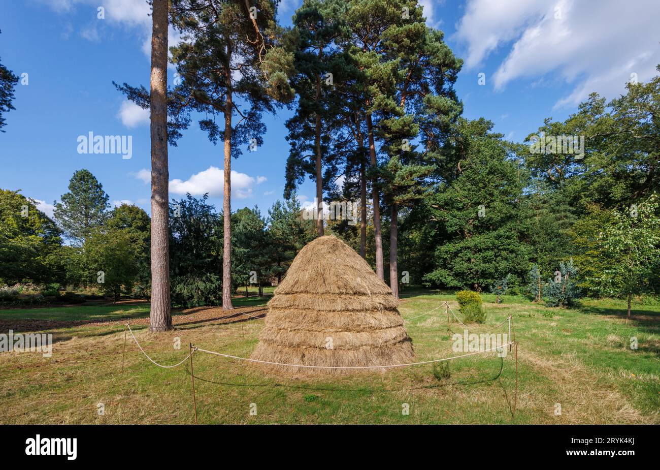 A traditional style small round conical haystack in the Pinetum at RHS ...