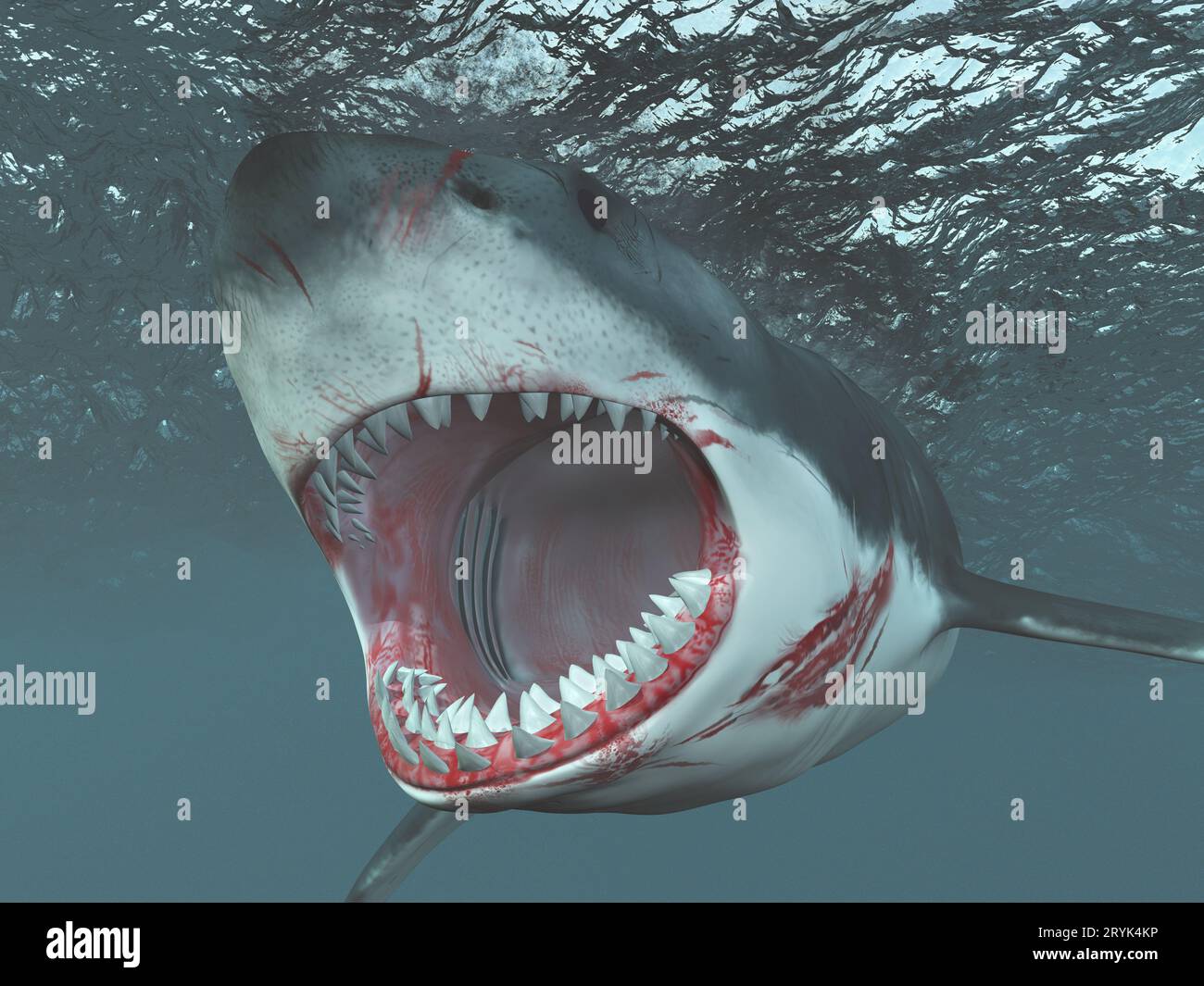 Great white shark swims on the surface of the sea Stock Photo - Alamy