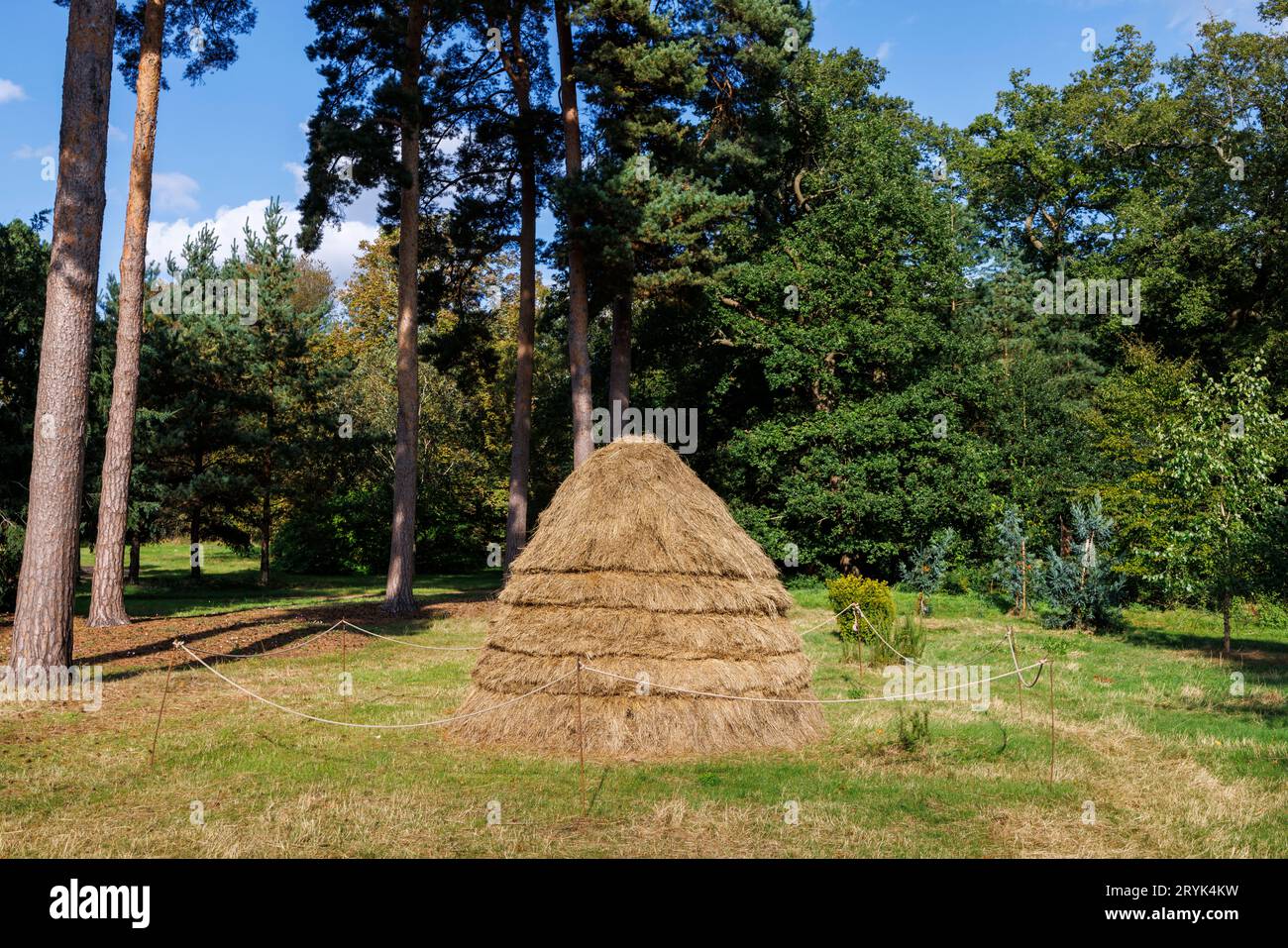 A traditional style small round conical haystack in the Pinetum at RHS ...