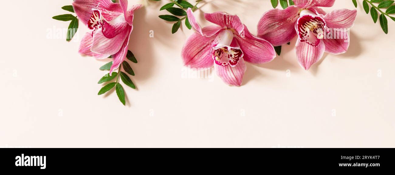 Minimal nature Floral background with orchids. Tropical pink ...