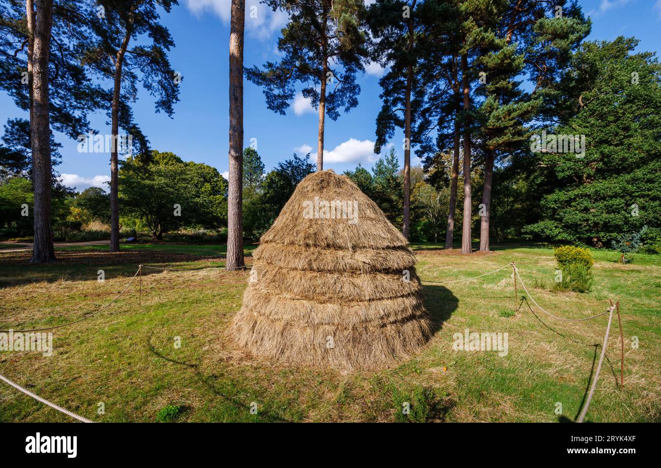 A traditional style small round conical haystack in the Pinetum at RHS ...