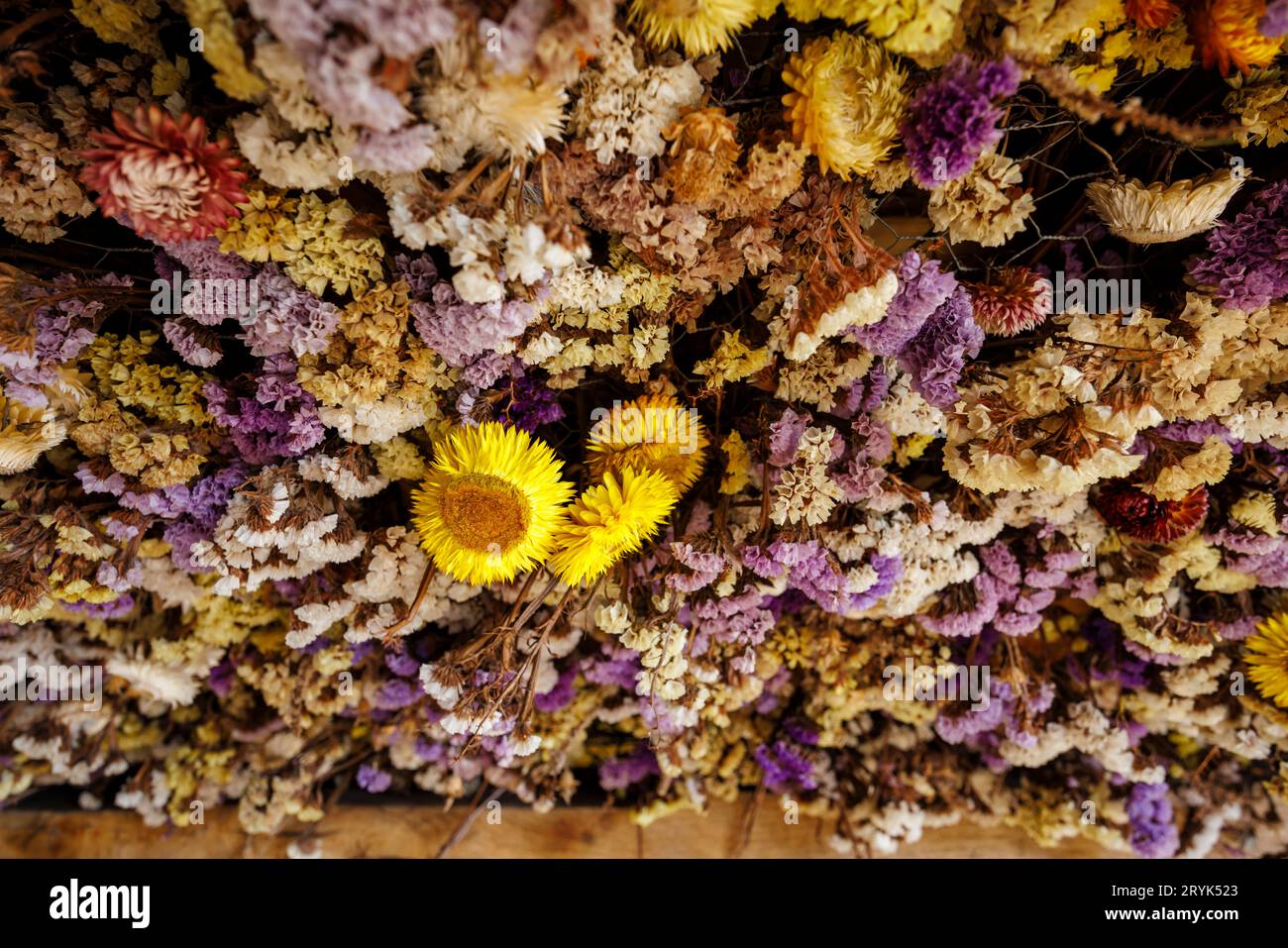 Shades of colours in drying hi-res stock photography and images - Alamy