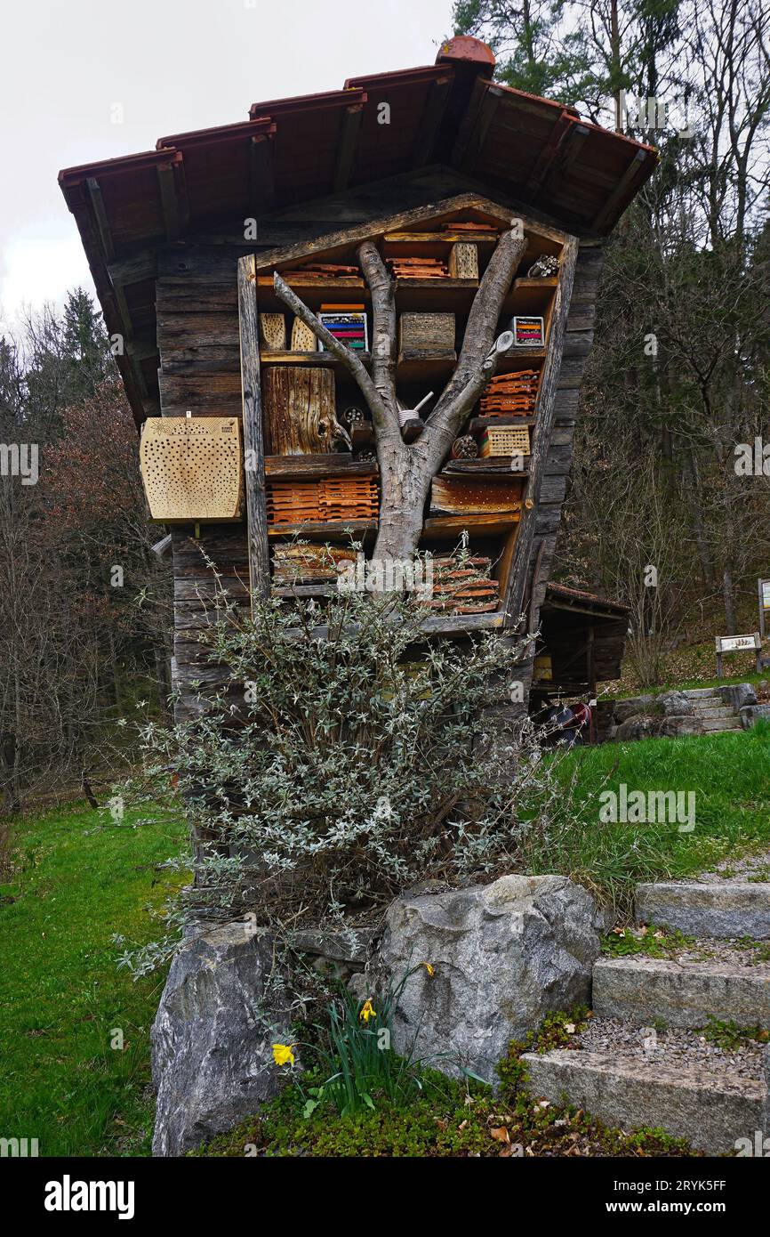Insect hotel wall hi-res stock photography and images - Alamy