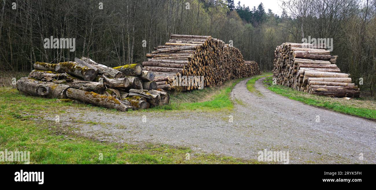 Woodyard hi-res stock photography and images - Alamy