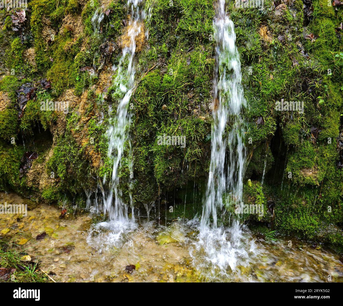 Ma ssingen talheim hi-res stock photography and images - Alamy