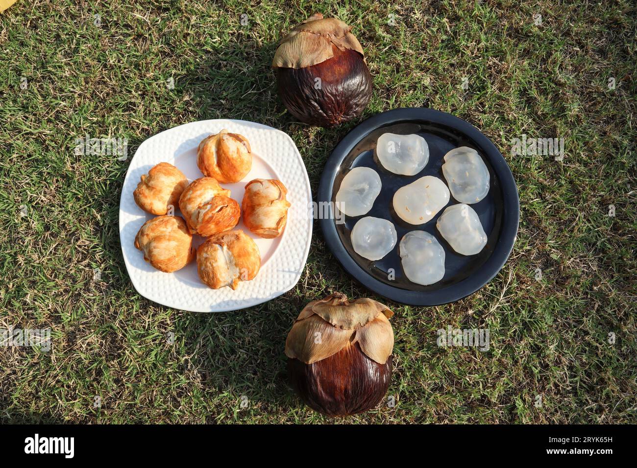 Borassus flabellifer commonly known as wine palm, or ice apple is ...