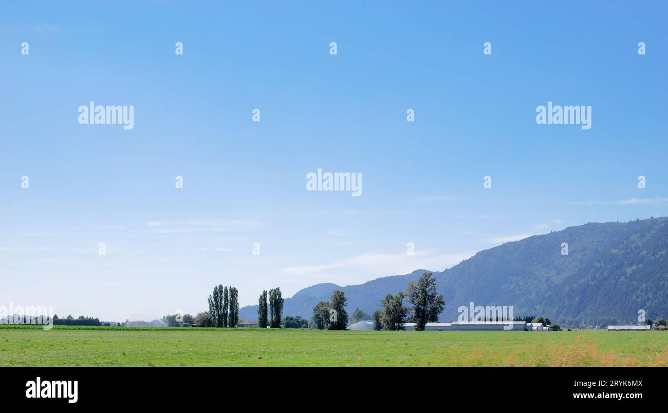 Bright sunny farm view hi-res stock photography and images - Alamy