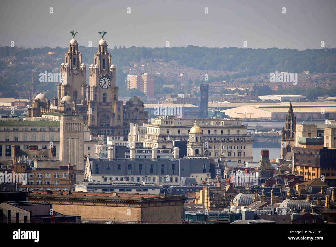 Aerial view royal liver hi-res stock photography and images - Alamy