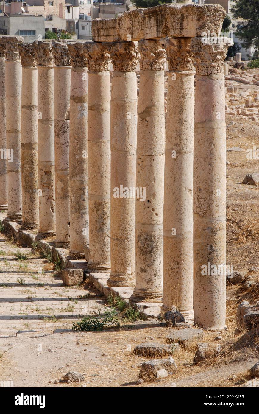 Ancient columns from Jerash Roman city in Jordan. Cardo or Colonnaded ...