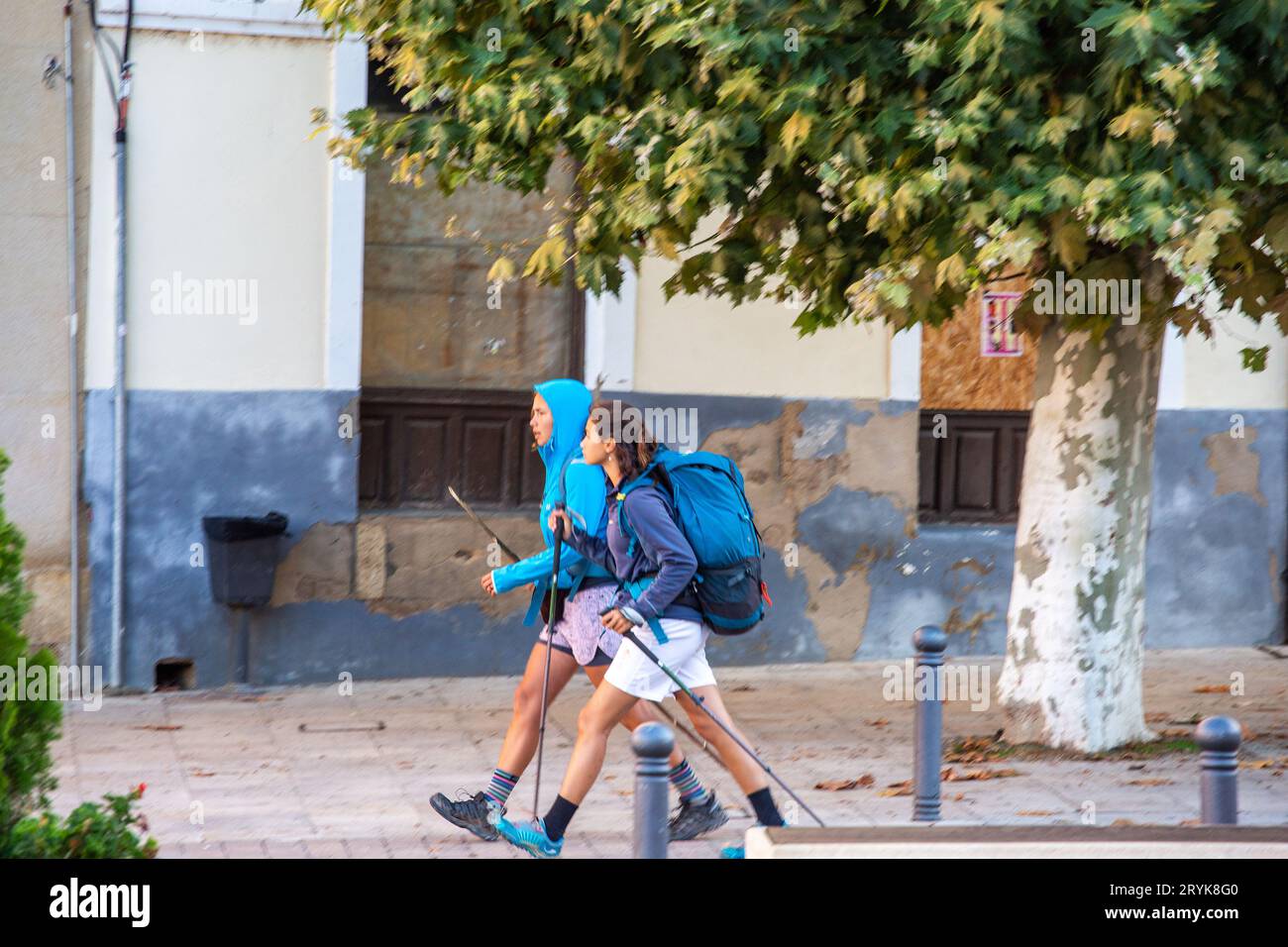 Pilgrims walking the Camino de Santiago, the way of St James pilgrimage ...