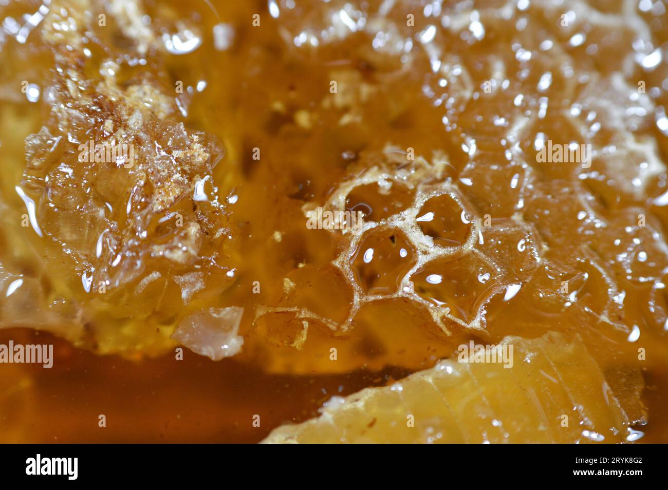 Hexagonal honeycomb cells with honey that hold the queen bee's eggs and ...