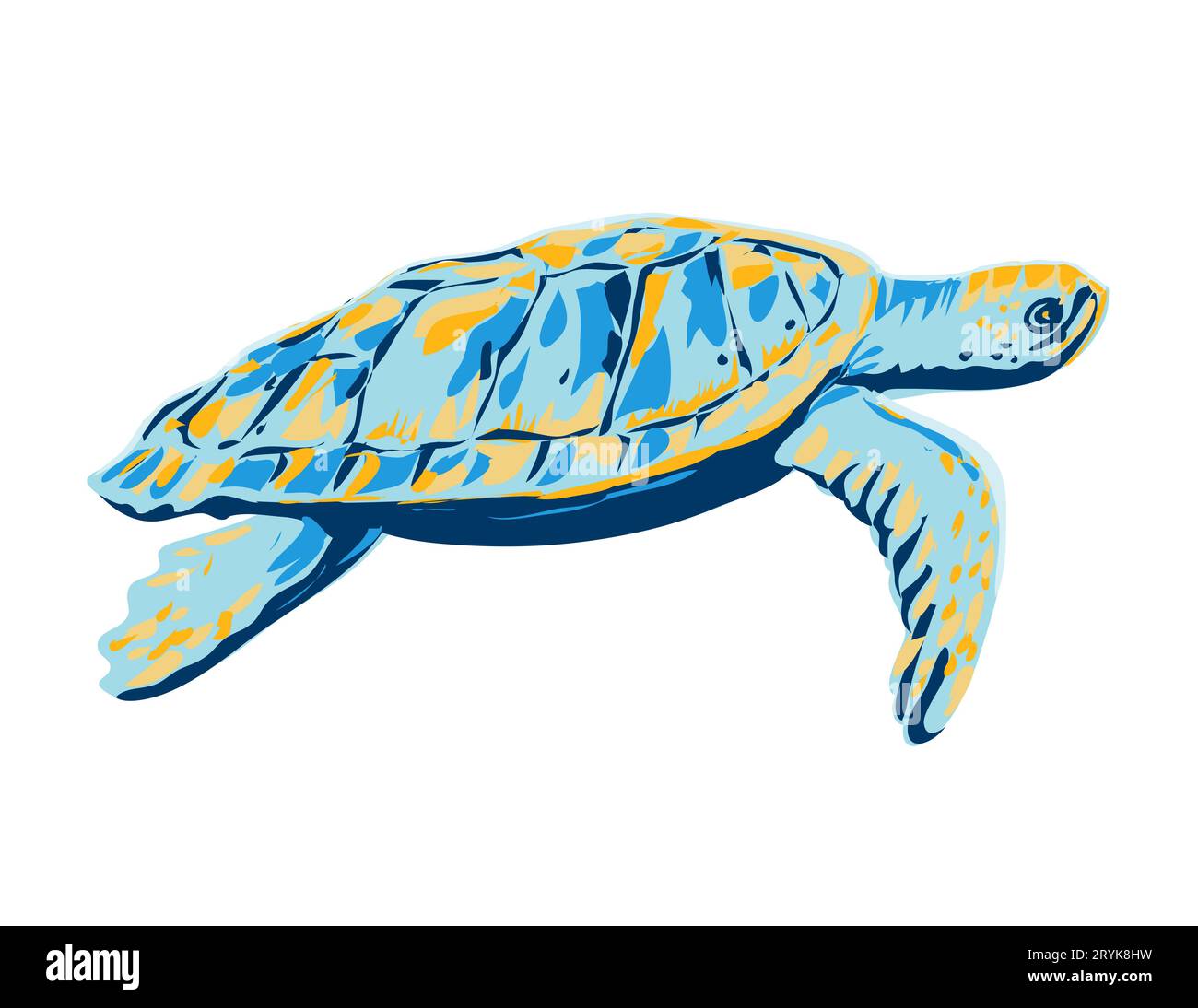 Caretta sea turtle Cut Out Stock Images & Pictures - Alamy