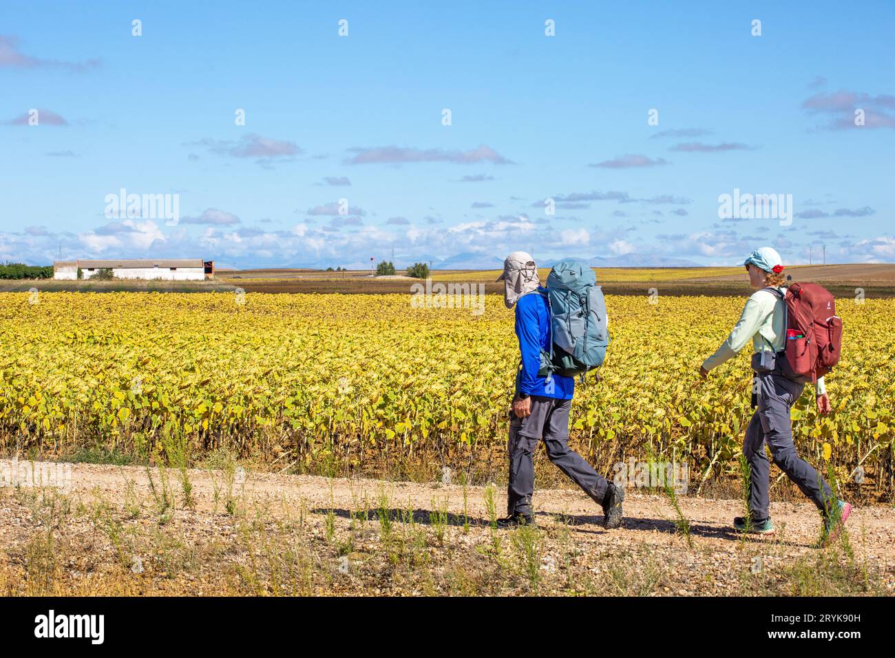 Pilgrims on the Camino de Santiago the way of St James pilgrimage route ...