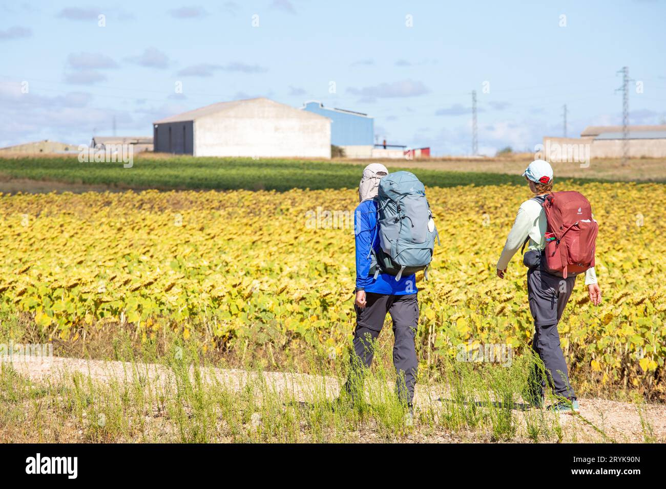 Pilgrims on the Camino de Santiago the way of St James pilgrimage route ...