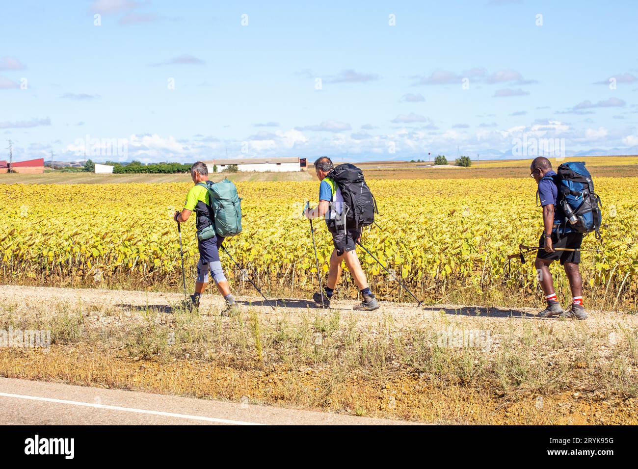 Pilgrims on the Camino de Santiago the way of St James pilgrimage route ...