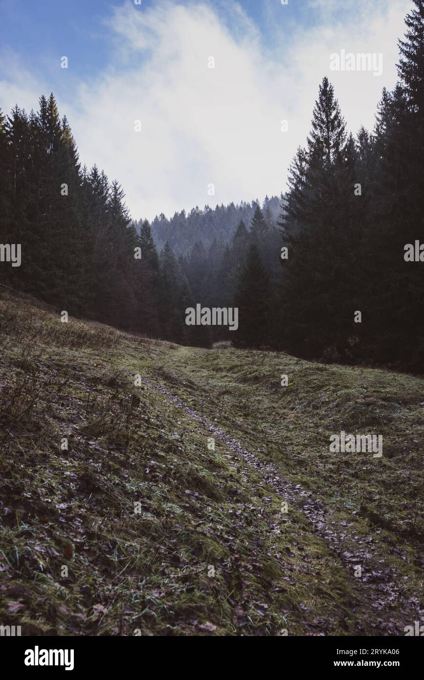 Wanderung Werraquelle 19122020 - Wanderung zur Werraquelle bei ...