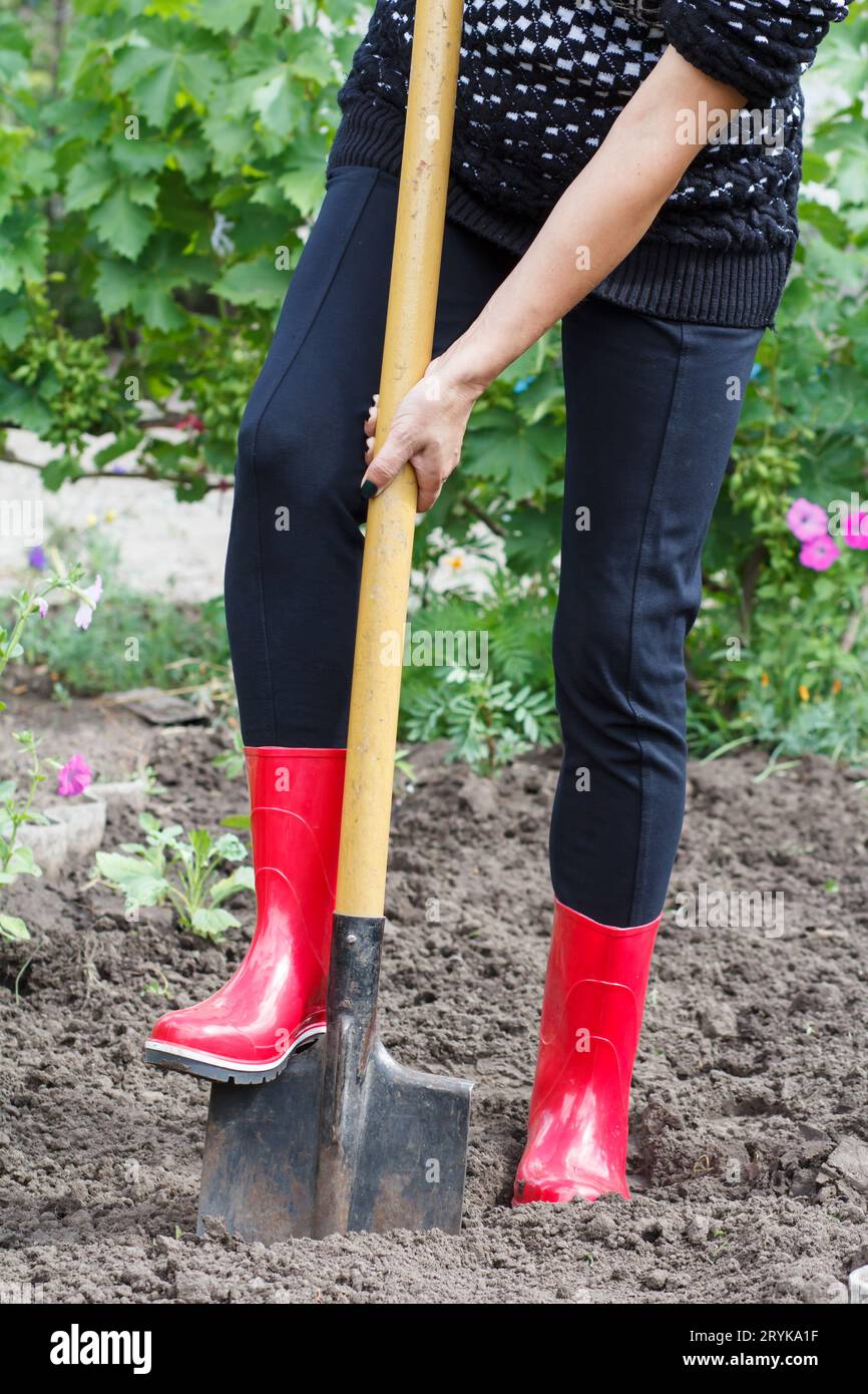 Woman dig digging in garden hi-res stock photography and images - Alamy