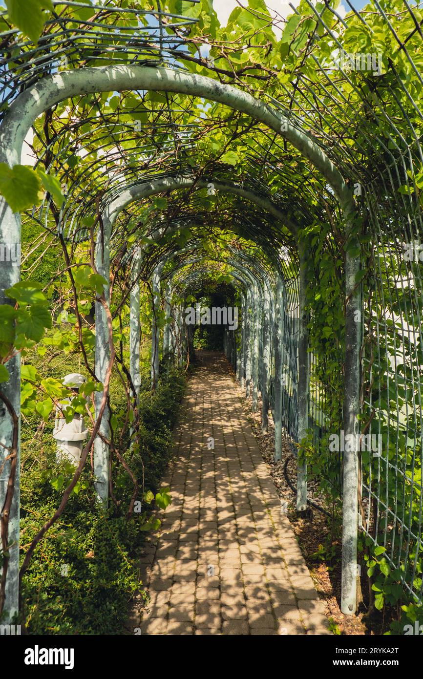 Botanical garden on the roof of the Warsaw University library modern ...