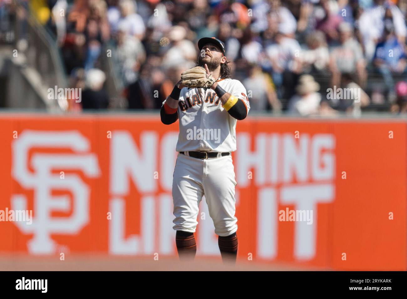 San Francisco Giants shortstop Brandon Crawford prepares for the pitch ...