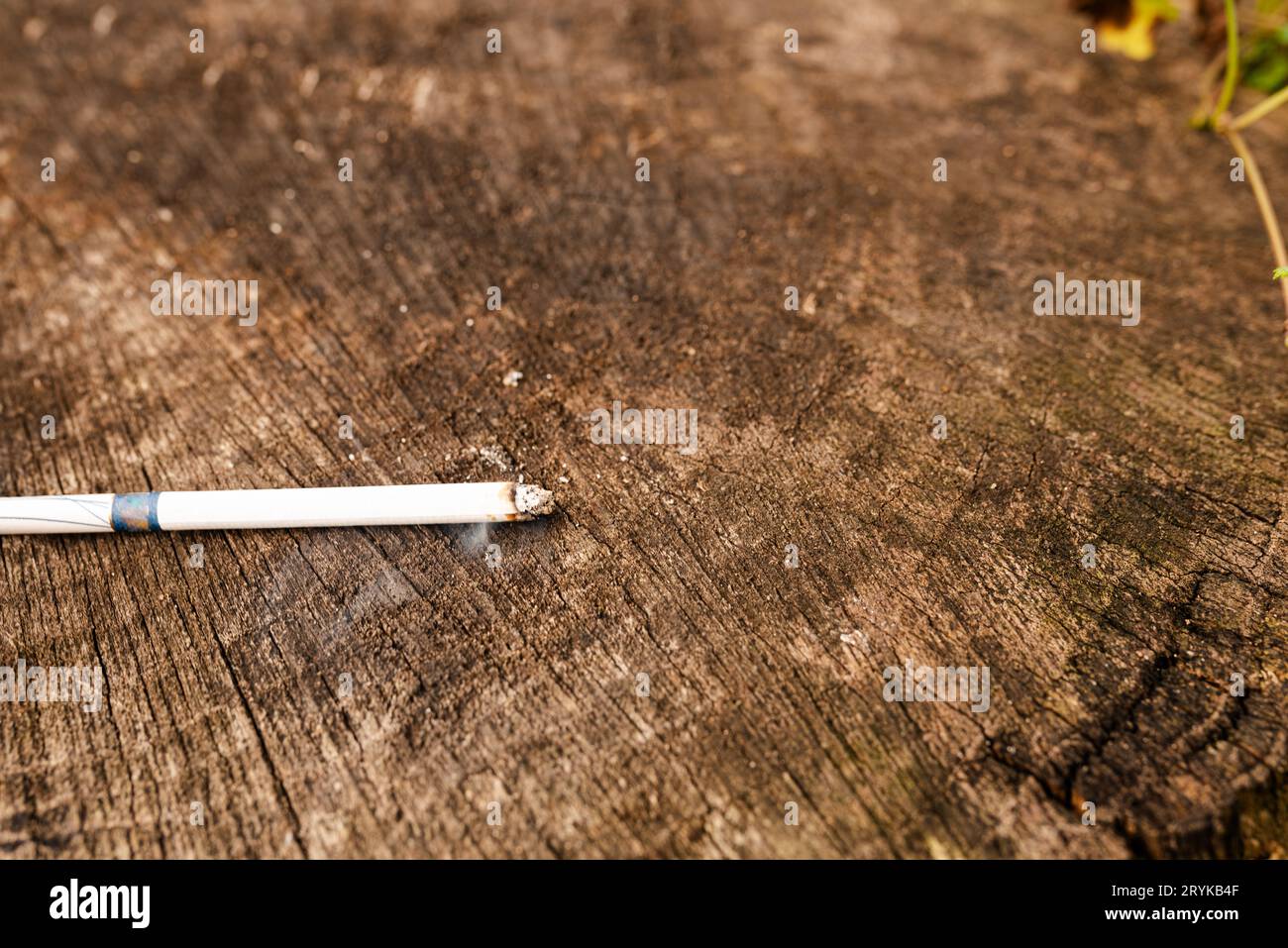 Burning cigarette on a tree hi-res stock photography and images - Alamy