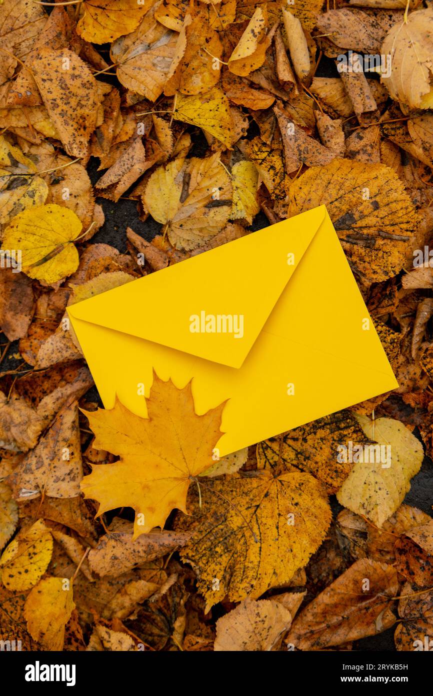 Empty yellow envelope mock up around Colorful falling autumn leaves ...