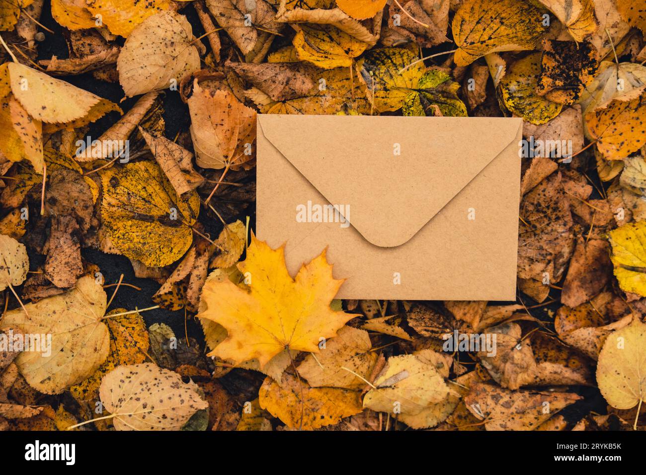 Empty earth tones envelope mock up around Colorful falling autumn ...