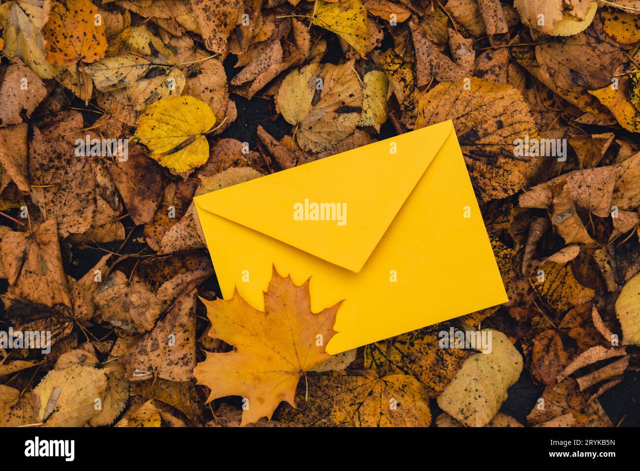 Empty yellow envelope mock up around Colorful falling autumn leaves ...