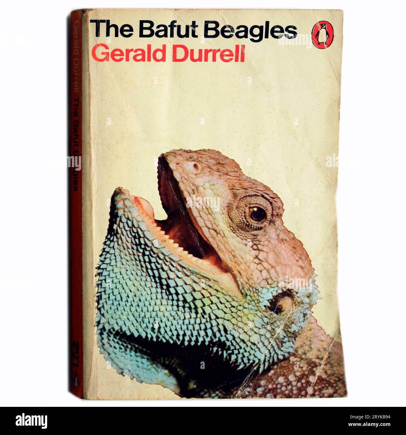 Gerald Durrell - The Bafut Beagles. Book cover, studio setup on white ...
