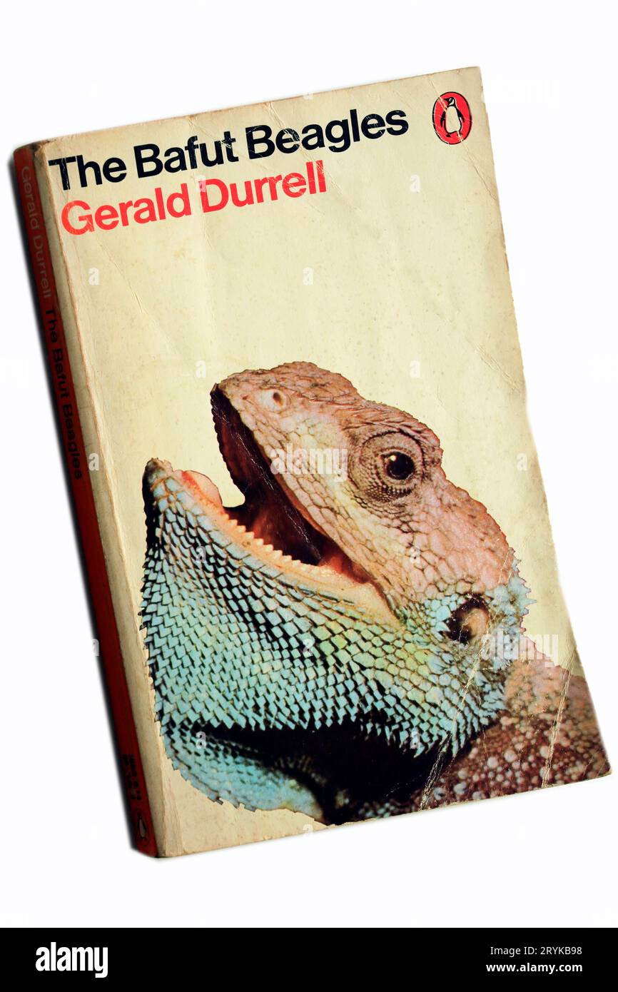 Gerald Durrell - The Bafut Beagles. Book cover, studio setup on white ...
